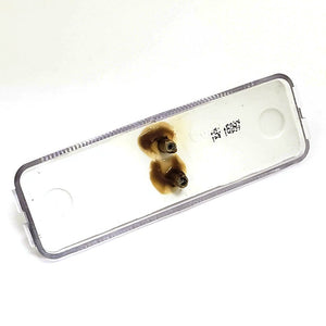 Truck-Lite 19200C 19-Series Clear Utility Marker Clearance Light+Mount ...